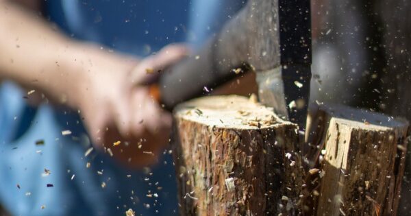 Forestry Accident Claims for Compensation